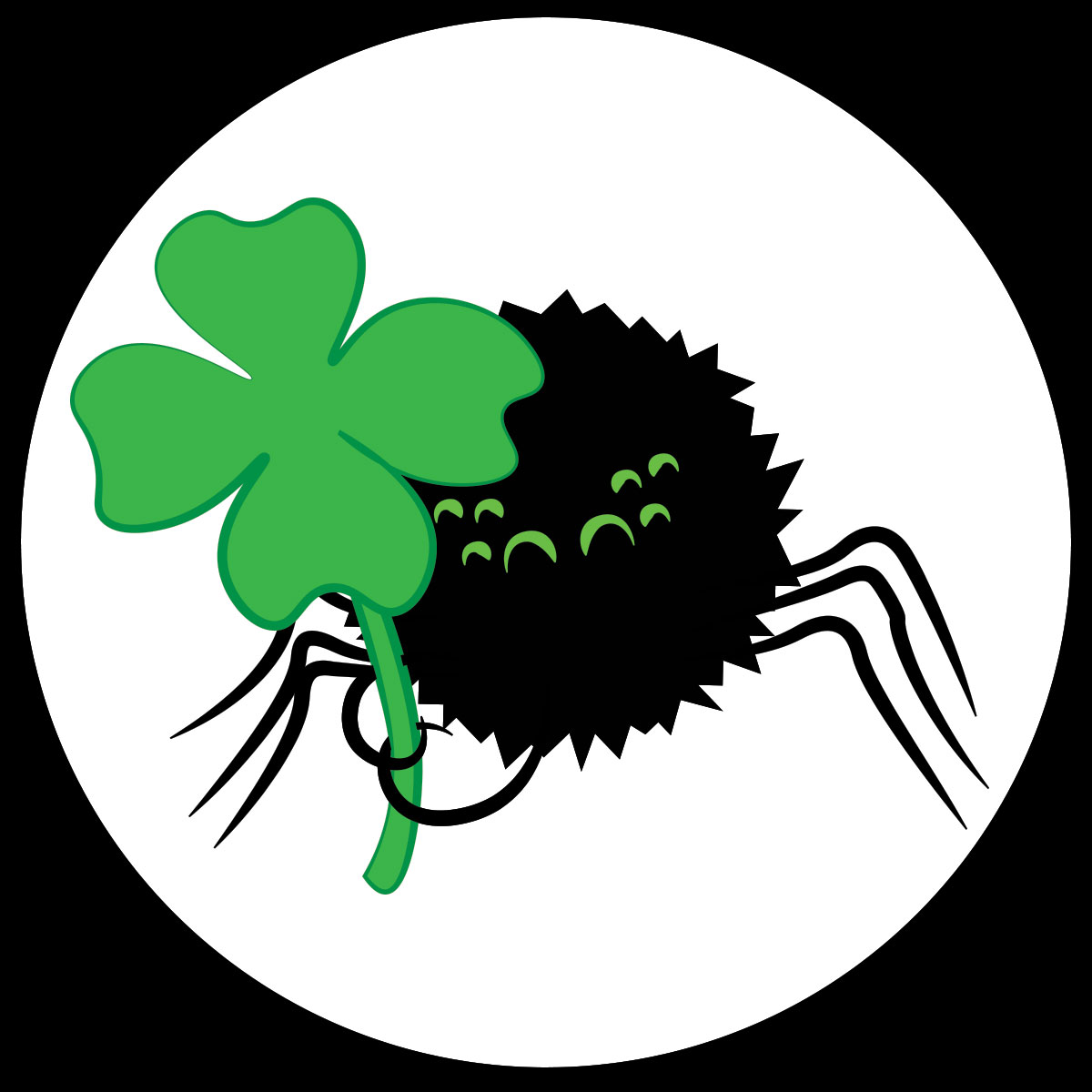 It’s National “Save a Spider Day” » Cheers! with Chelsea