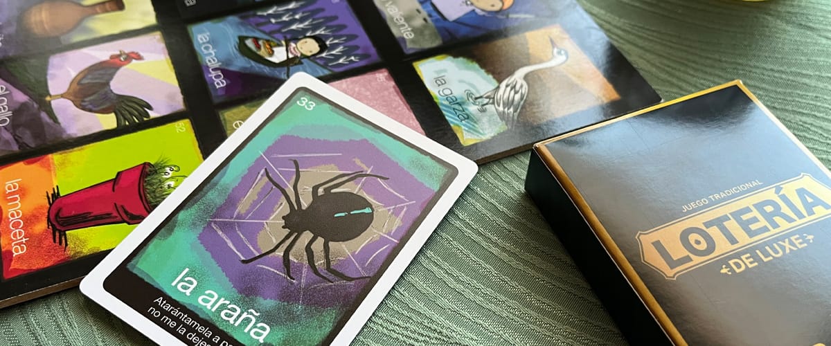 Learning "spider" in other Languages • Cheers! with Chelsea